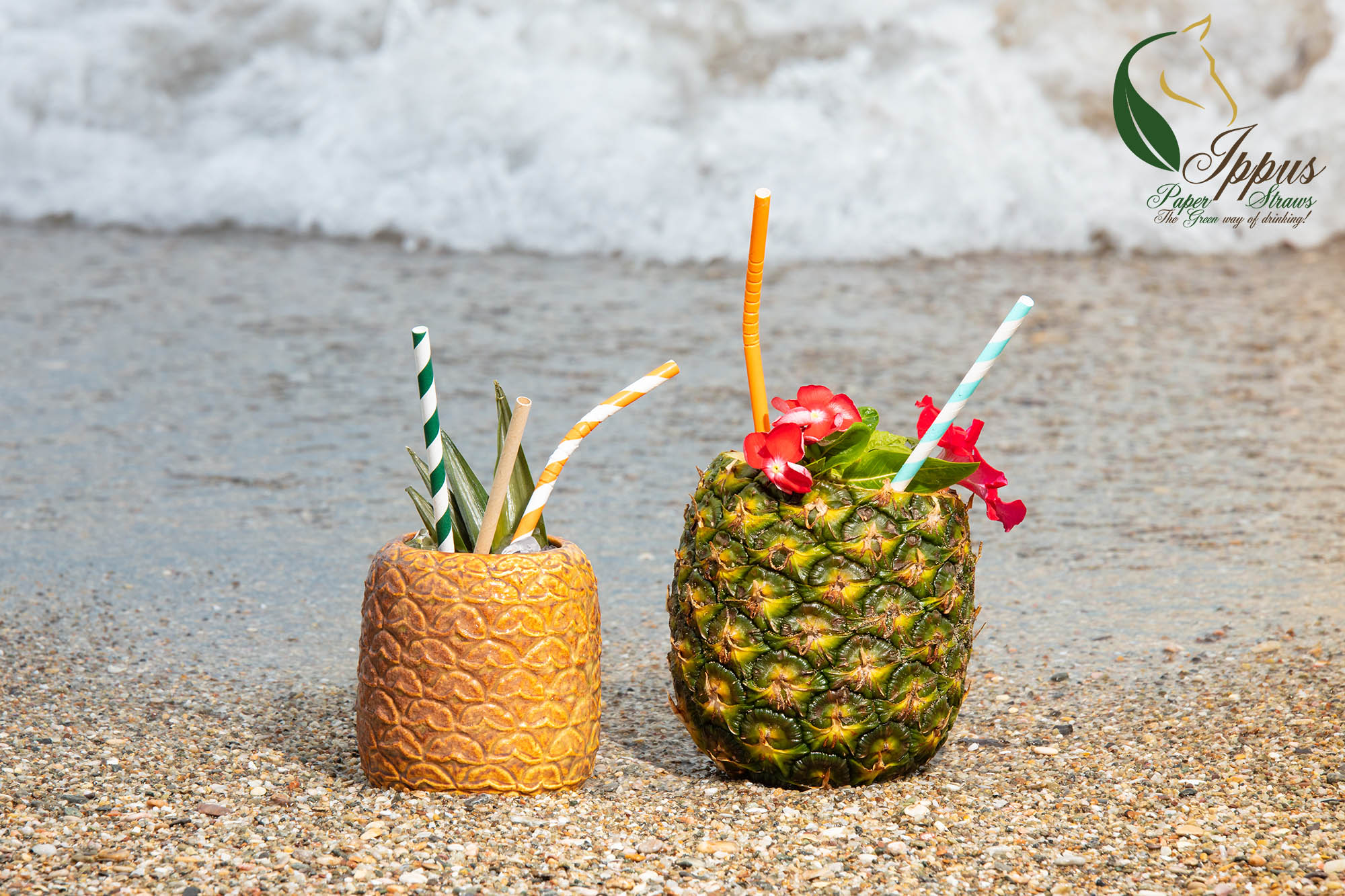 Ippus | Paper straws